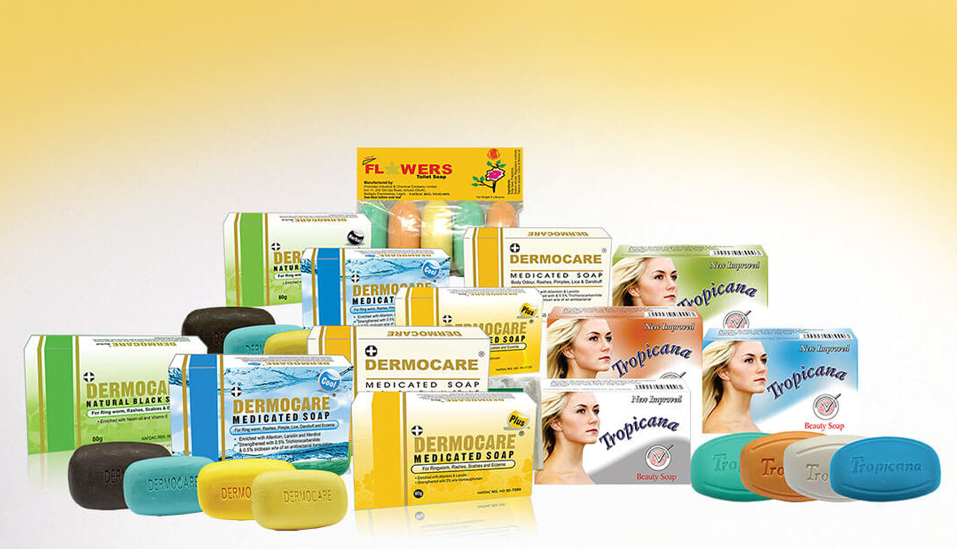 promotex-para - Chicason Group